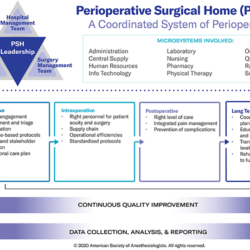Perioperative Surgical Home – What it looks like for Anesthesiologists ...